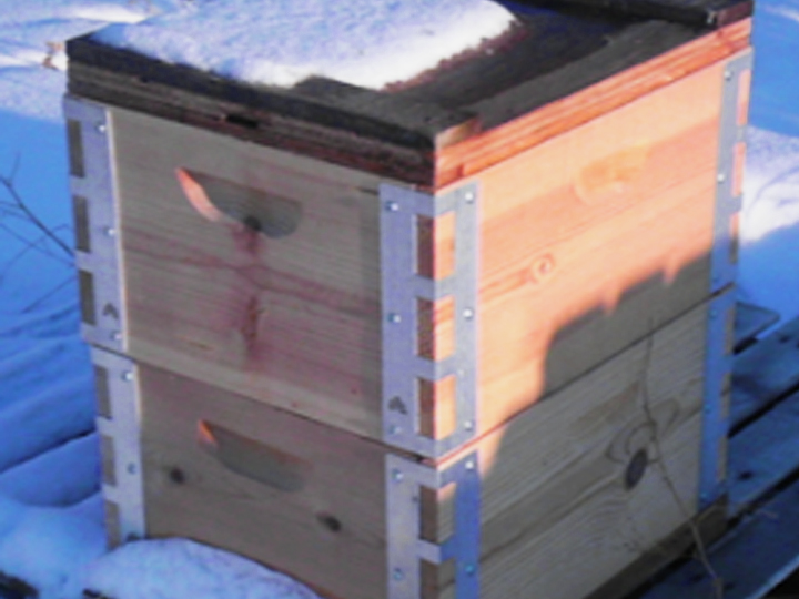 winterhive-2 – Eco Bee Box – Modern Urban Beekeeping